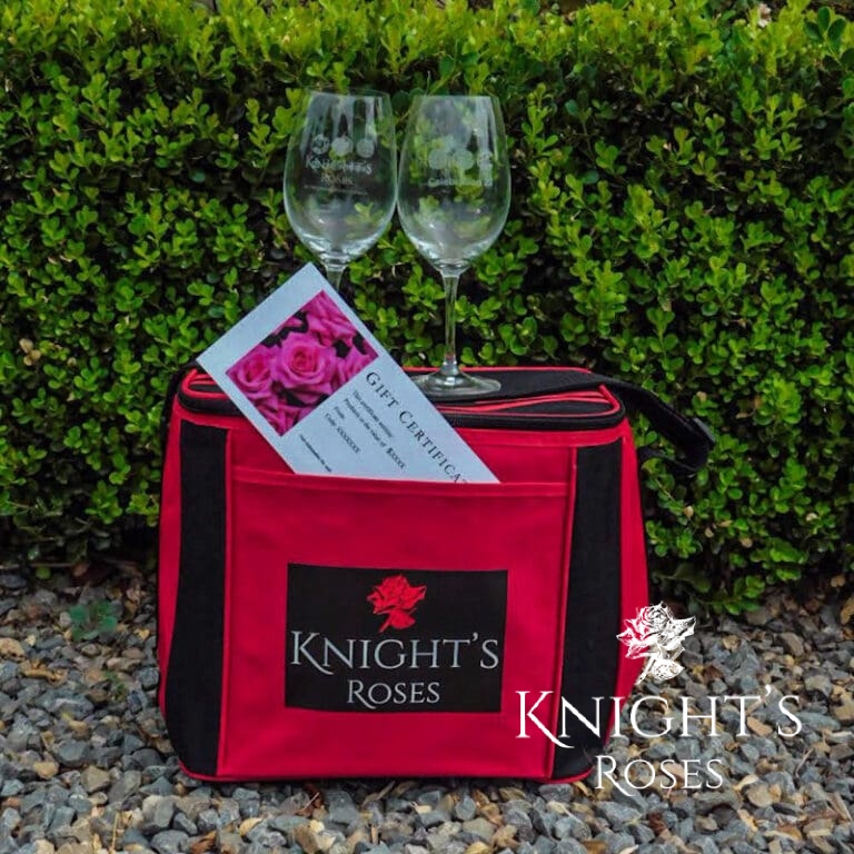 Gift Pack 1 - BUY THIS ROSE ONLINE - Knight's Roses Australia