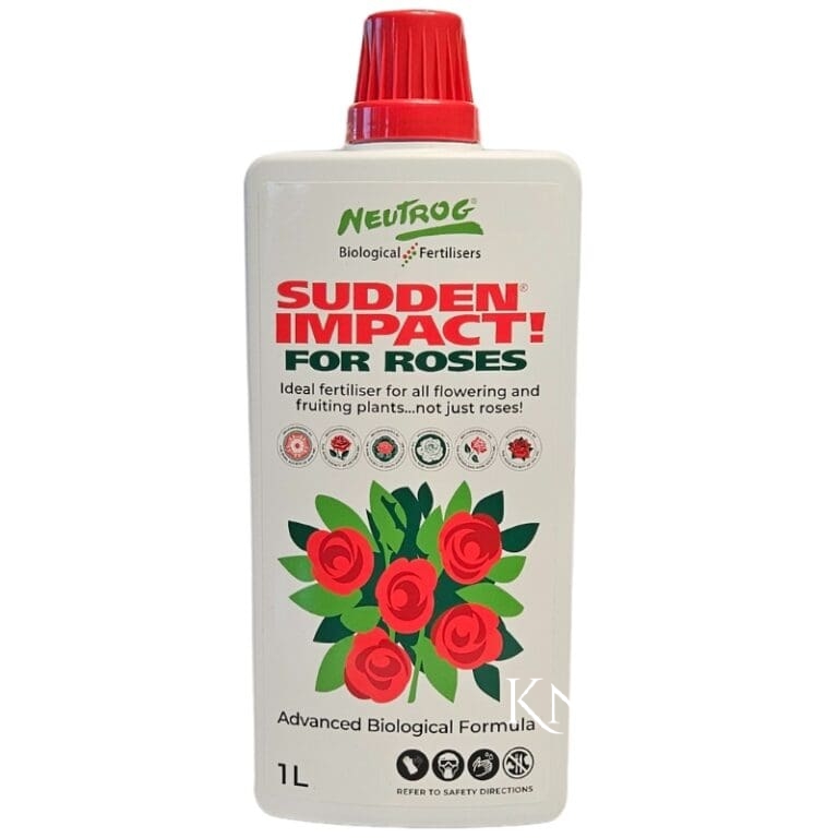 Sudden Impact 1 Litre Liquid - BUY THIS ROSE ONLINE - Knight's Roses ...