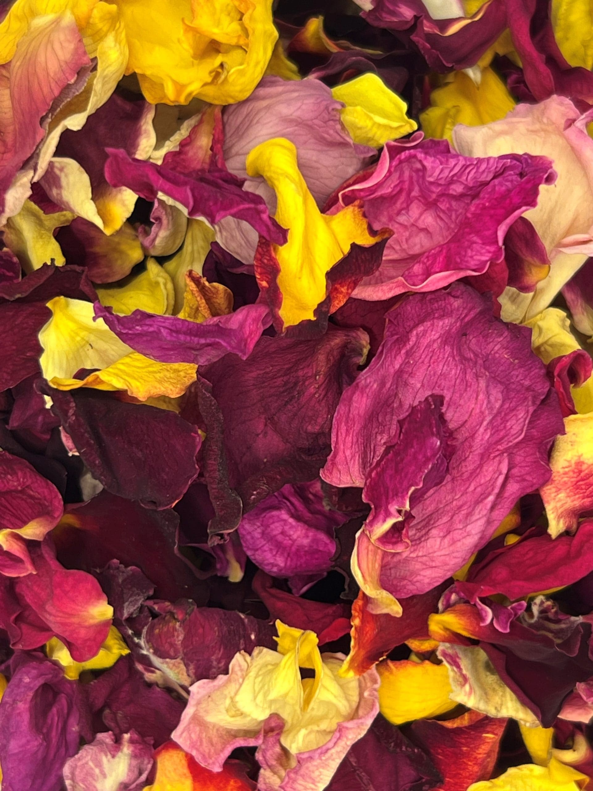 Dried Rose Petals 20g - BUY THIS ROSE ONLINE - Knight's Roses Australia