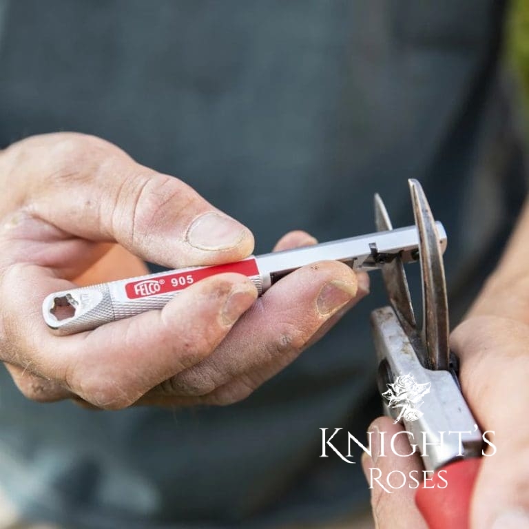 Felco 905 Sharpening & Adjustment Tool - BUY THIS ROSE ONLINE - Knight ...