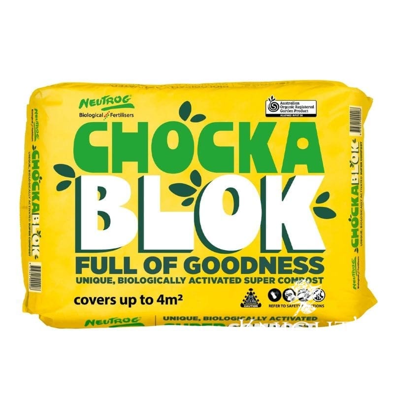 Chockablok Bale - BUY THIS ROSE ONLINE - Knight's Roses Australia
